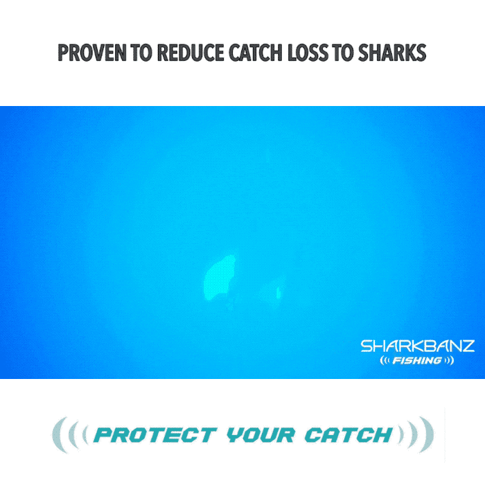 Sharkbanz Fishing - Products