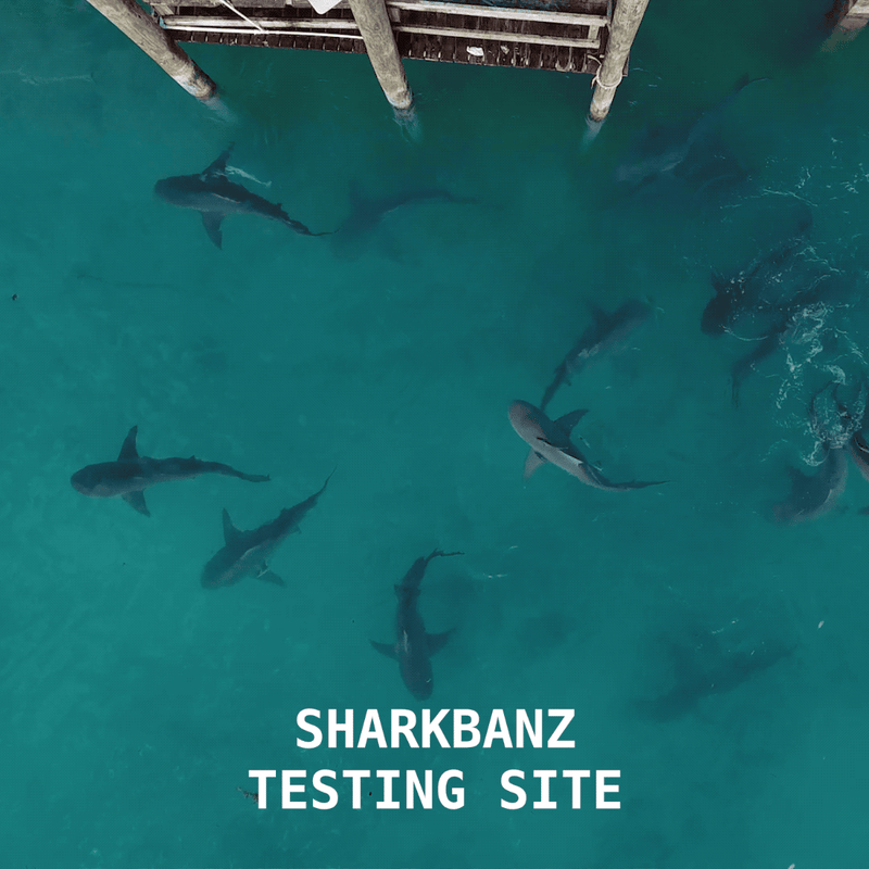 Sharkbanz - Research & Product Testing