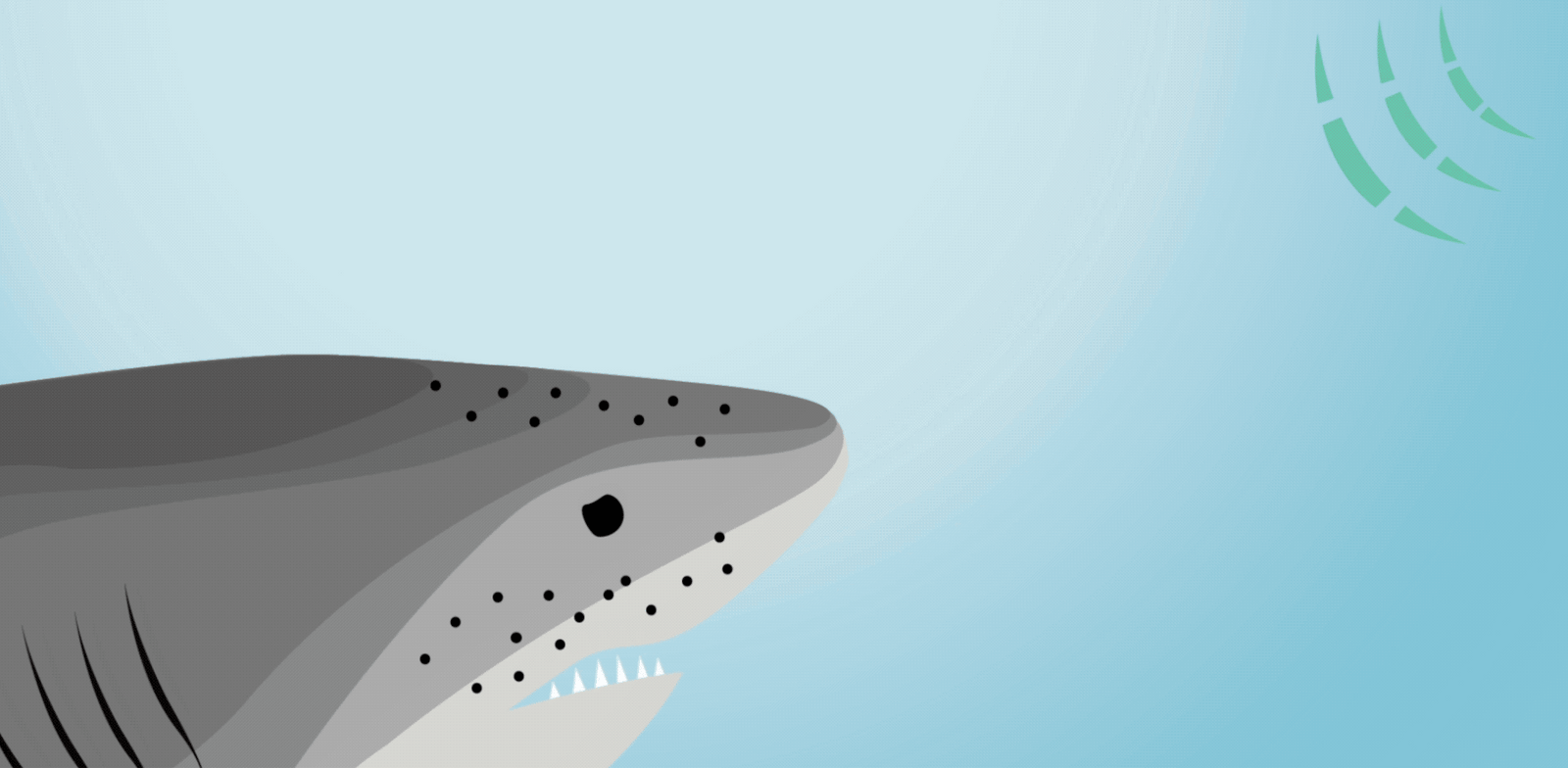 Sharkbanz - How It Works